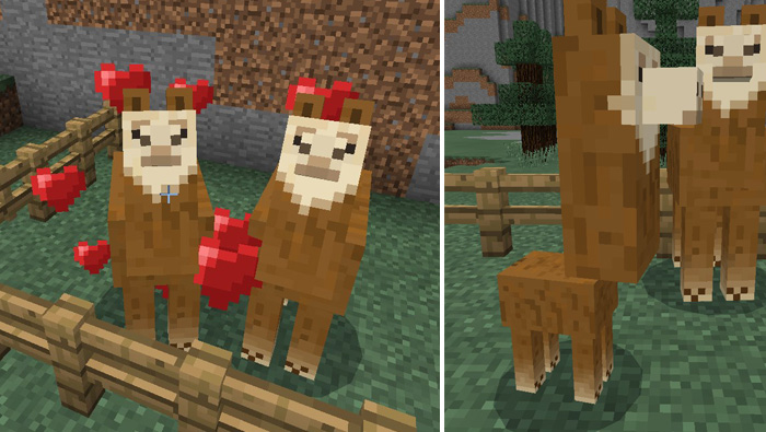 Llama Add-on | Minecraft PE Mods & Addons