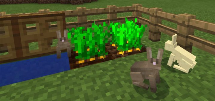 Tameable Rabbits Addon - MCPE Addons/MCPE Mods & Addons | minecrafts.us