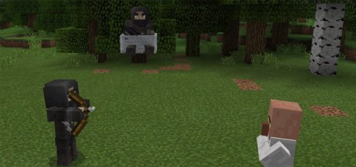 Search Results for invisible blocks/ | MCPEDL