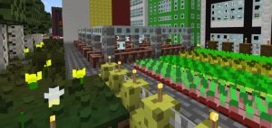 Java XP Bar | Minecraft PE Texture Packs