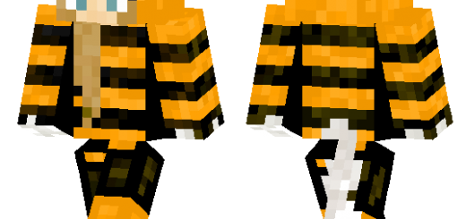 Bee Girl | Minecraft PE Skins