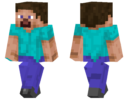 Minecraft Steve Skin Layout Poleasset