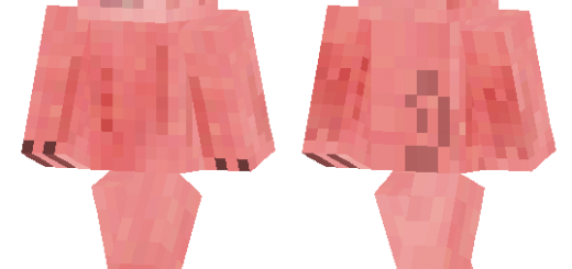 Hlts Blunt | Minecraft PE Skins