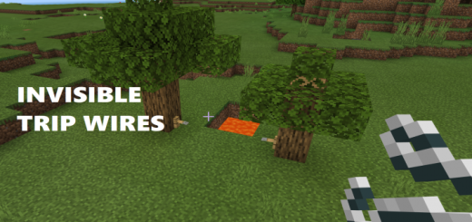 Search Results for invisible/ | MCPEDL - Page 3